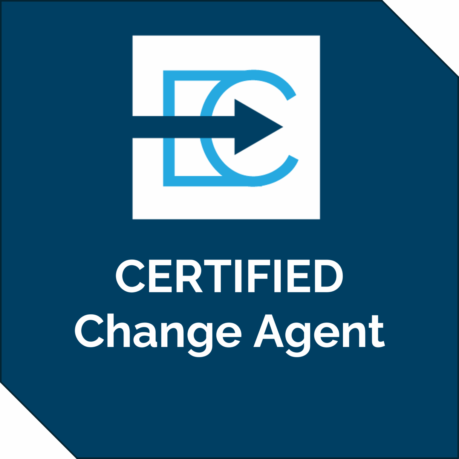 Change Agent Essentials – Engine-for-Change